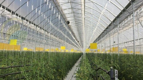 Invernadero de Inverca para climas templados